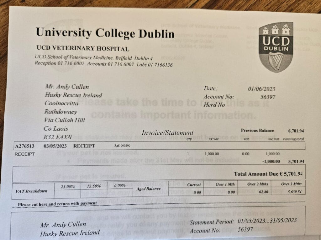 Help us to not worry about Vet Bills - GlobalGiving