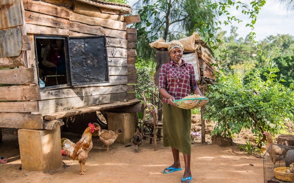 Support Smallholder farming a path out of poverty - GlobalGiving