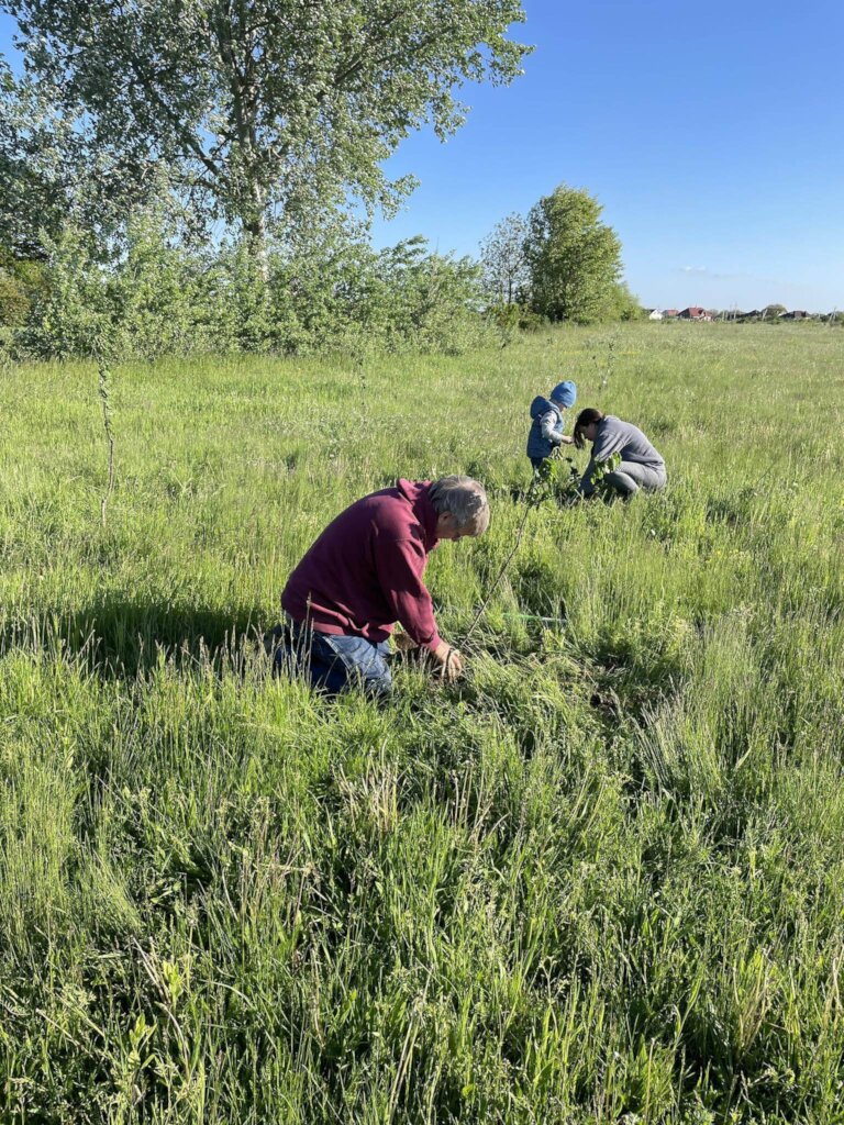 Build a small group home for orphans in Ukraine - GlobalGiving