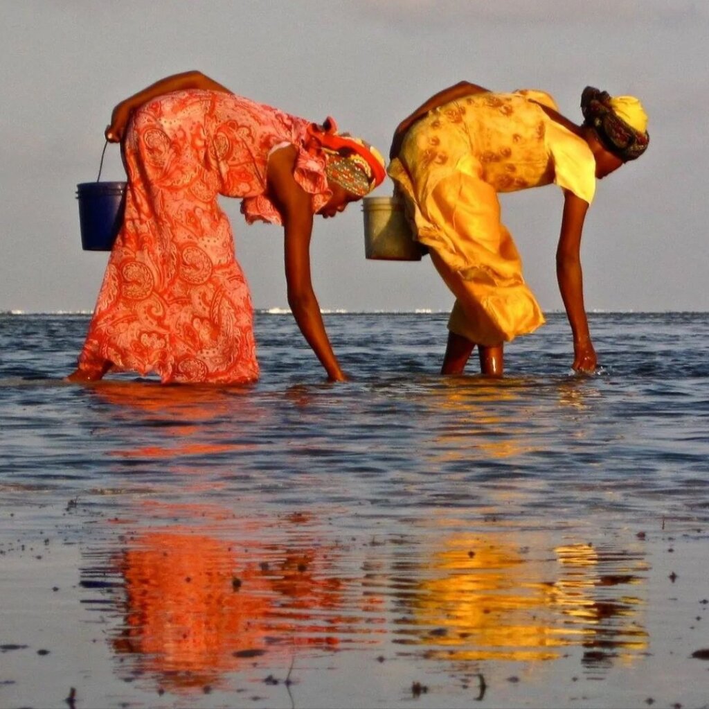 Protect our ocean & safeguard livelihoods in Kenya - GlobalGiving