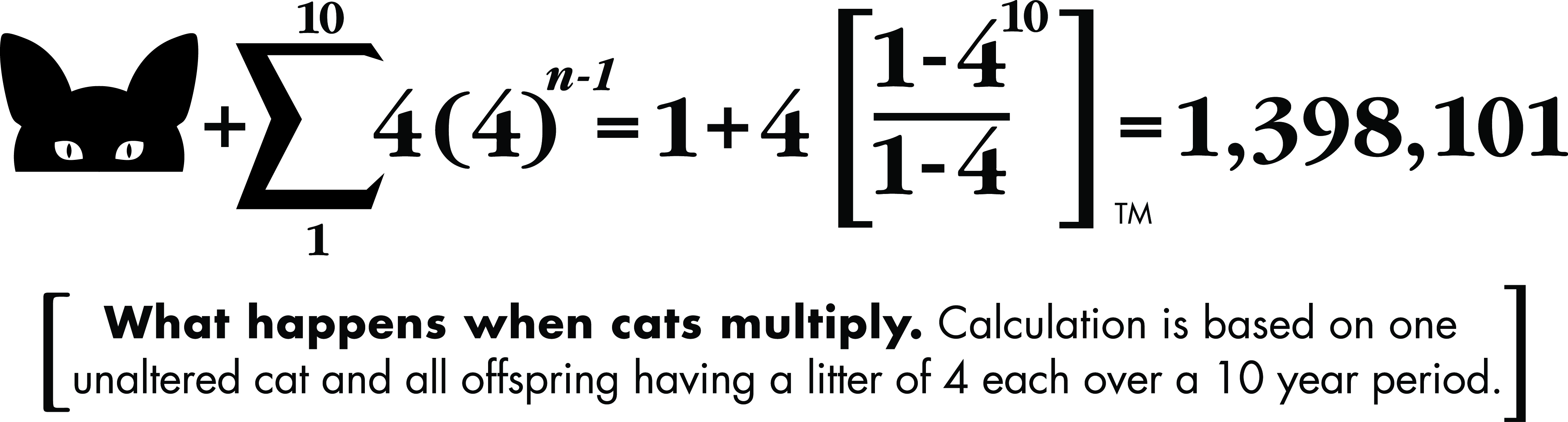 Photos from FCCO Spay/Neuter Clinics for Feral and Stray Cats ...