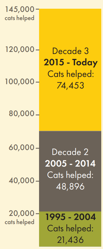Photos from FCCO Spay/Neuter Clinics for Feral and Stray Cats ...