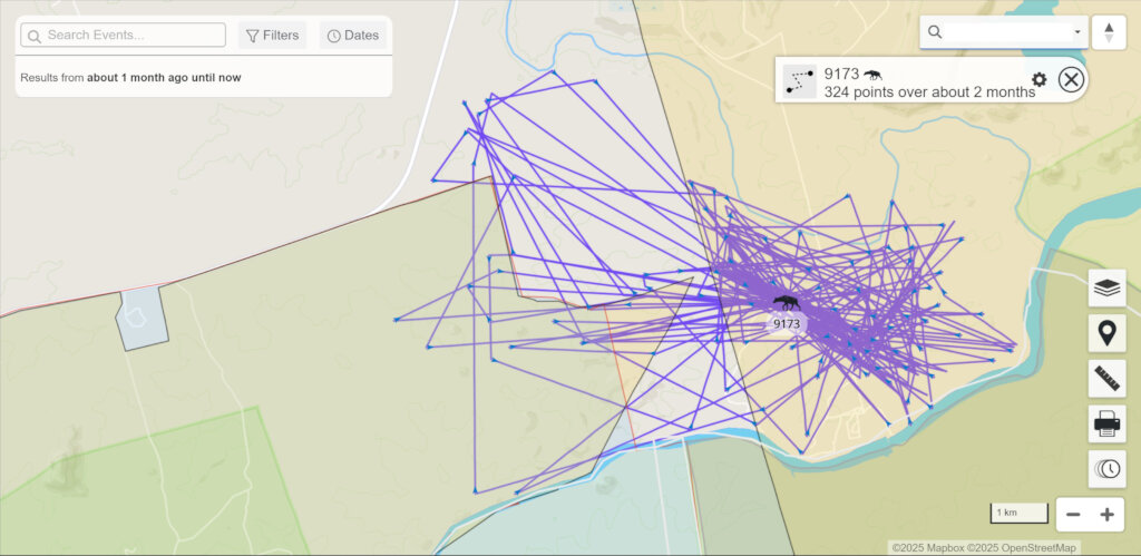 Reports on Wildlife research collars - GlobalGiving
