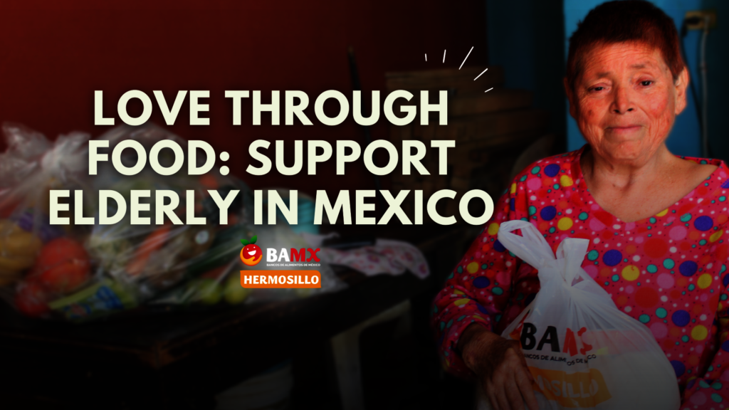 Love Through Food: Support Elderly in Mexico - GlobalGiving