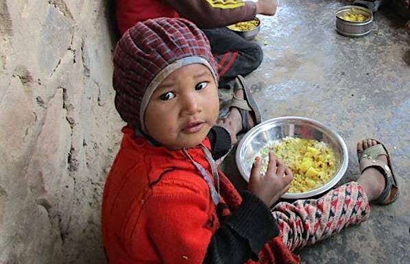 Plants-4-Hunger: Feed People, Protect the Planet - GlobalGiving