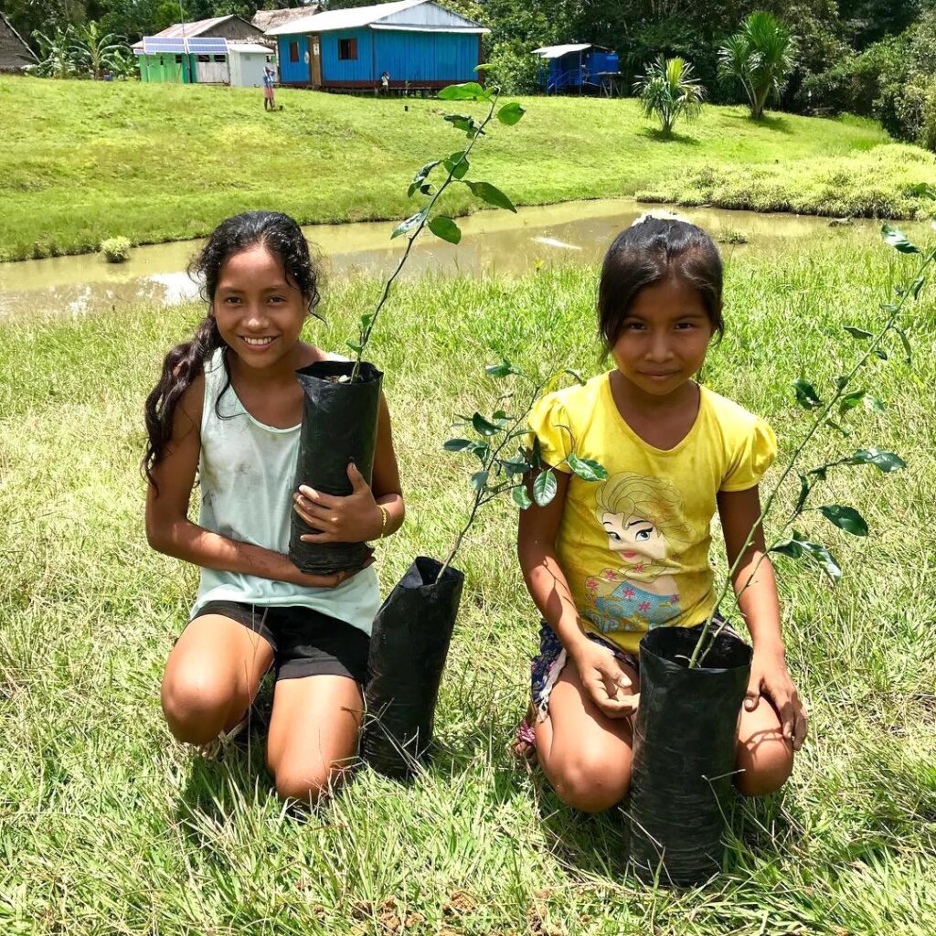 Plant Food Trees for Climate and Hunger - GlobalGiving