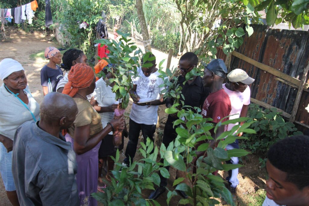 Plant Food Trees for Climate and Hunger - GlobalGiving