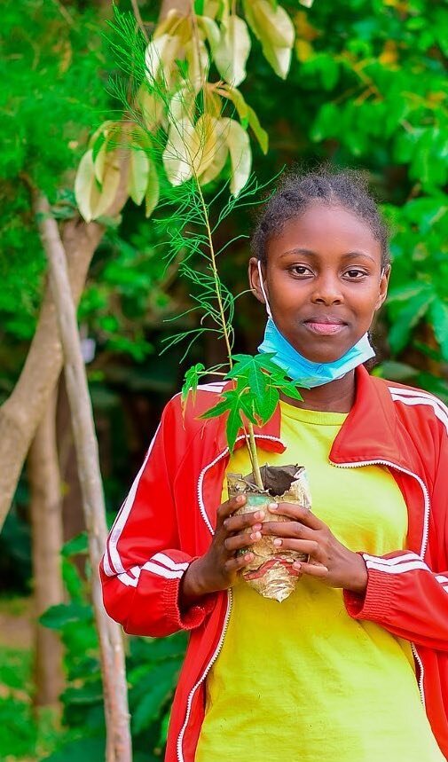 Plant Food Trees for Climate and Hunger - GlobalGiving