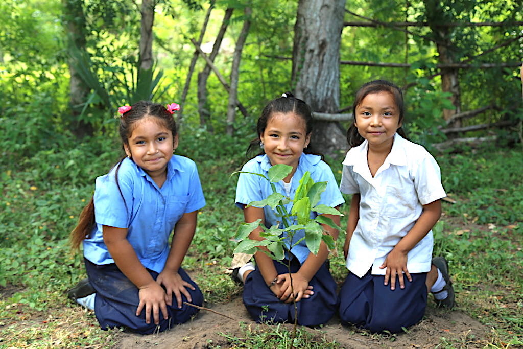 Plant Food Trees for Climate and Hunger - GlobalGiving