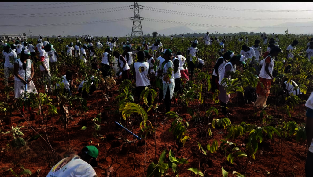 Reports on Help Bhumi Plant 10,000 Trees - GlobalGiving