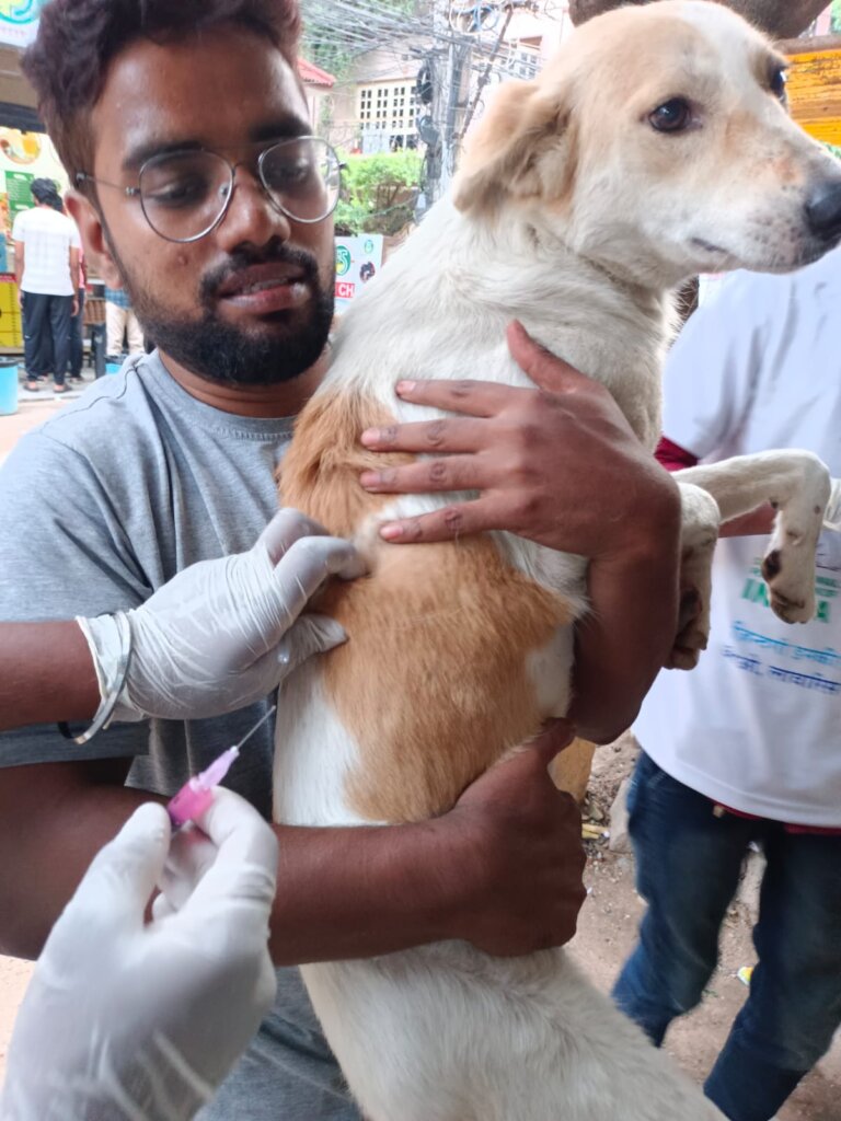 Rabies Vaccination Drive 2023 - GlobalGiving