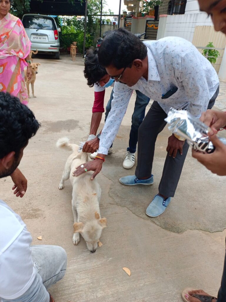 Rabies Vaccination Drive 2023 - GlobalGiving