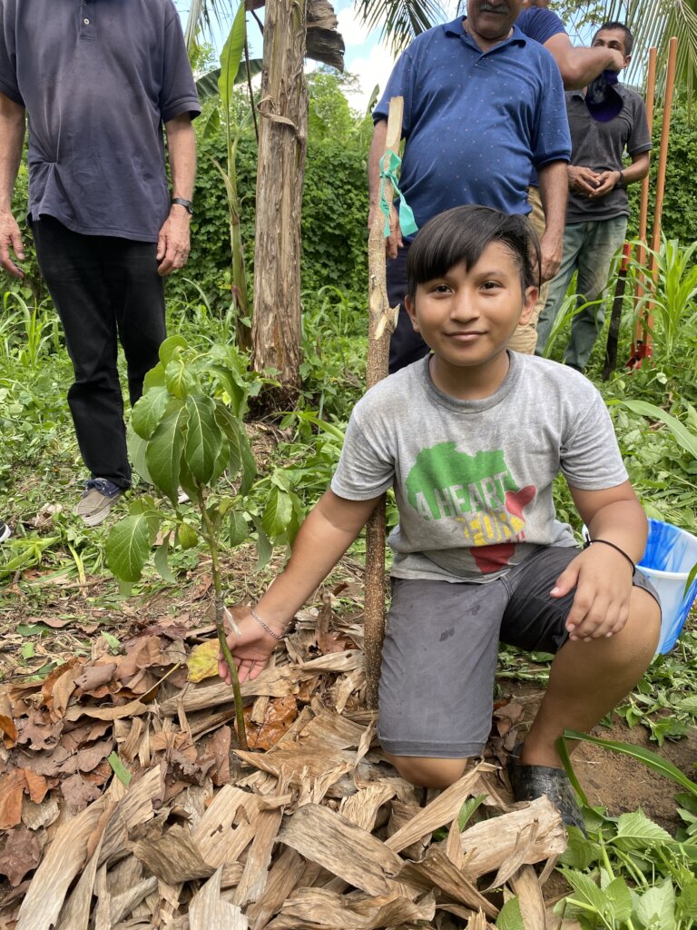 Reforestation for rural livelihoods in Honduras - GlobalGiving
