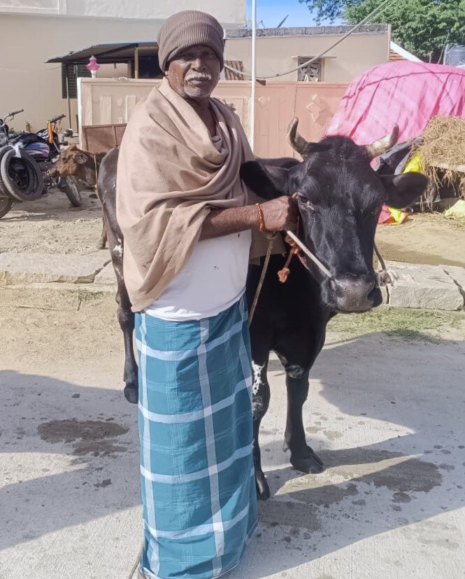 Empowering Cow Farmers with Modern Tools -India - GlobalGiving