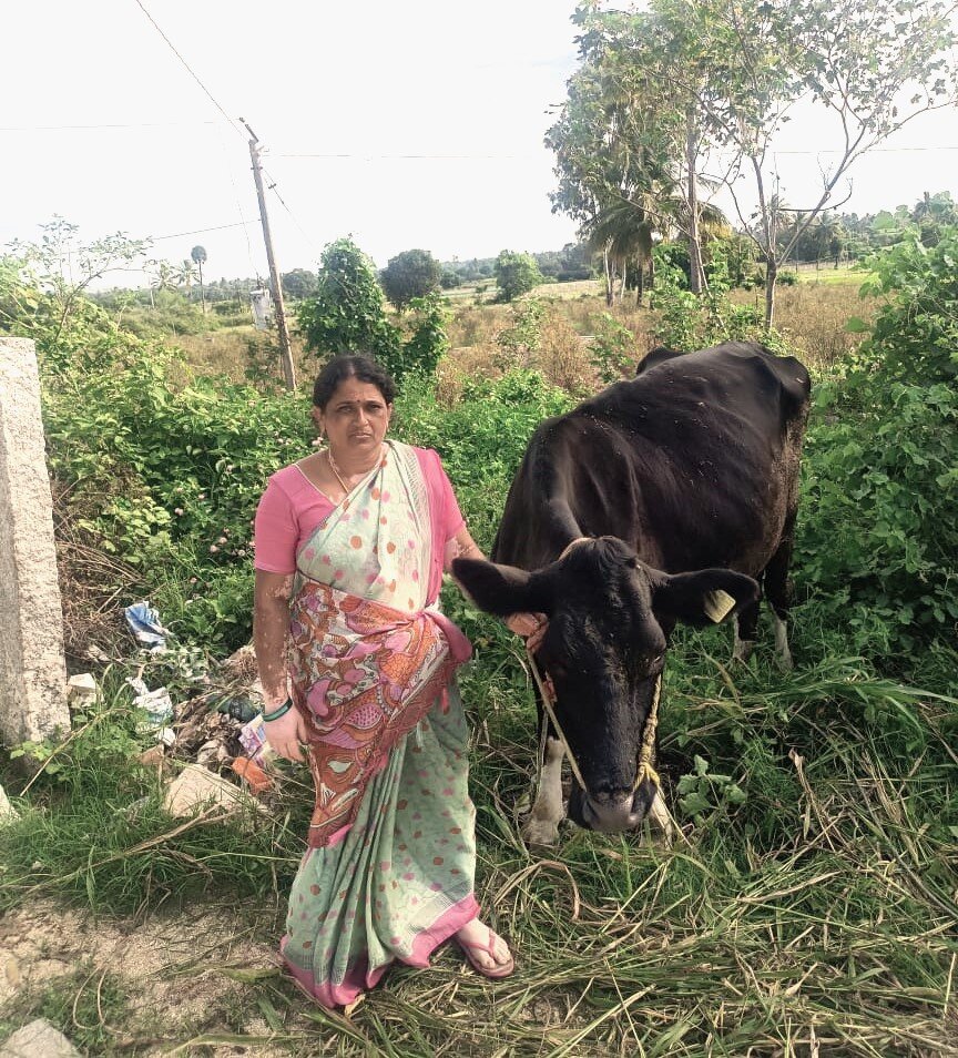 Empowering Cow Farmers with Modern Tools -India - GlobalGiving