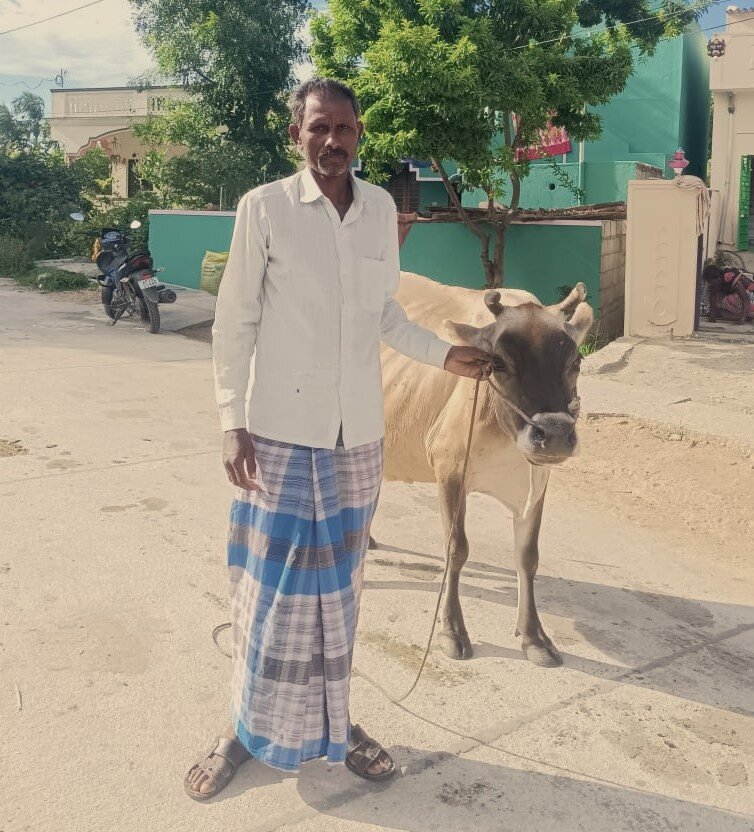 Empowering Cow Farmers with Modern Tools -India - GlobalGiving