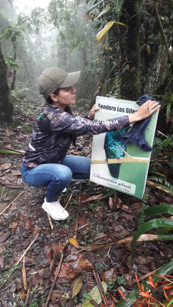 Reports on Help Women Forest Rangers Saving Amazon Rainforest ...