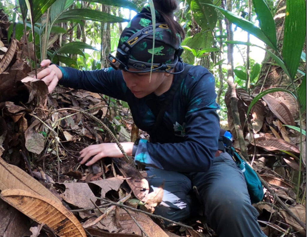 Help Women Forest Rangers Saving Amazon Rainforest - GlobalGiving