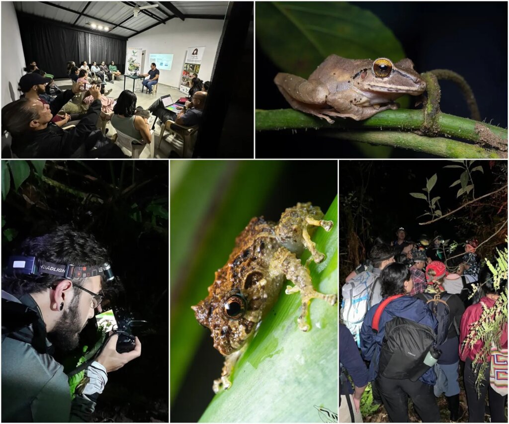 Reports on Saving a Critical Wetland for Endangered Frogs - GlobalGiving