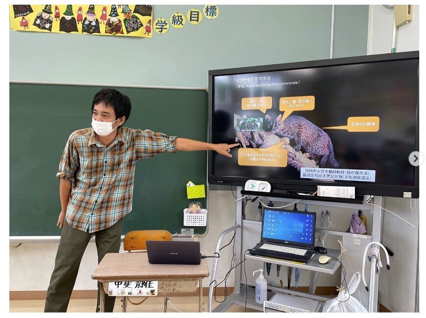 Protect the Iriomote Wildcat from Accidents - GlobalGiving