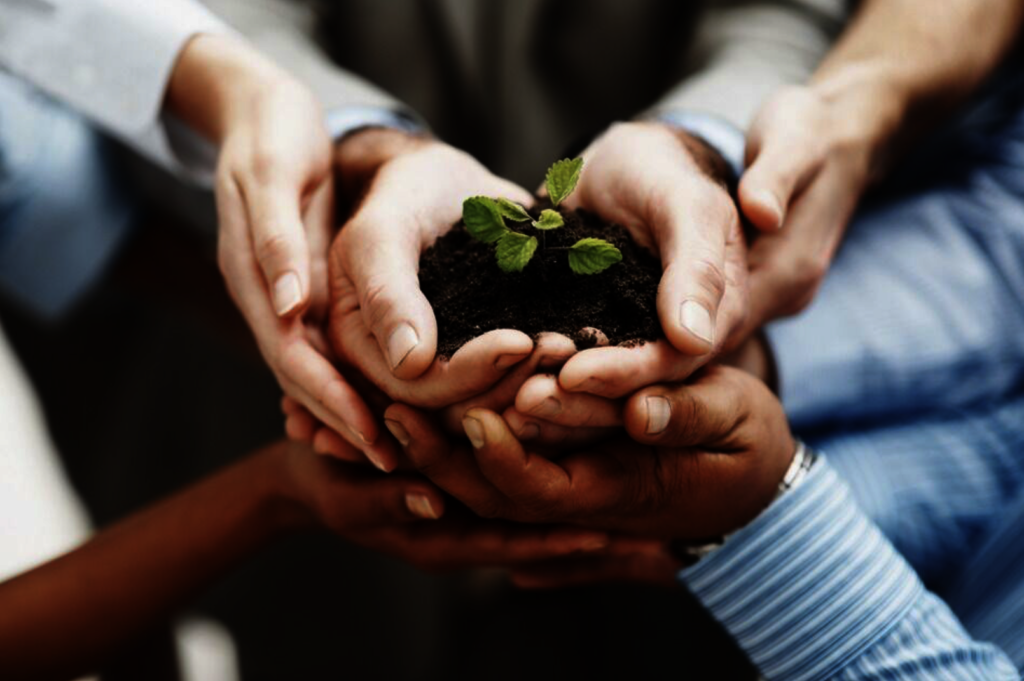 Trees for Peace - GlobalGiving