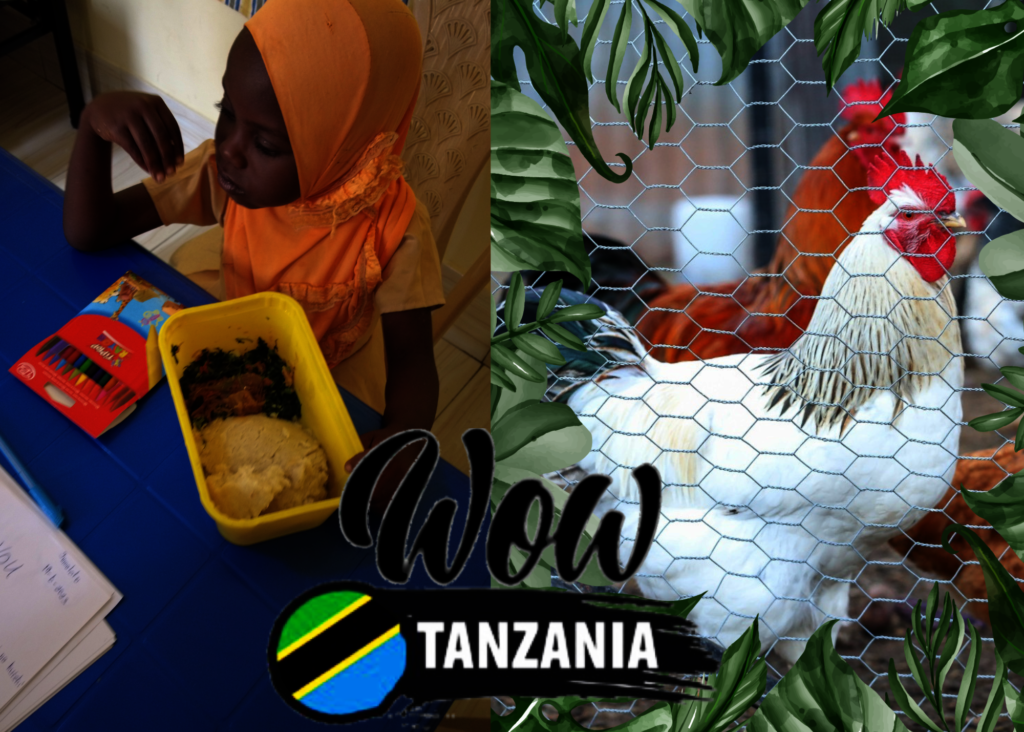 Feathers of Hope: Empowering by Poultry Farming - GlobalGiving