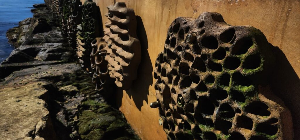 Rebuild Marine Eco Systems With A Living SeaWall - GlobalGiving