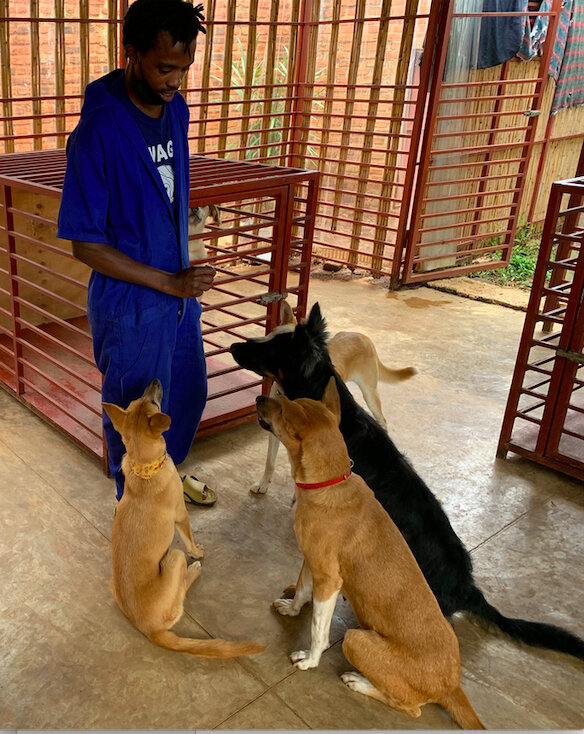 WAG on the move! - GlobalGiving