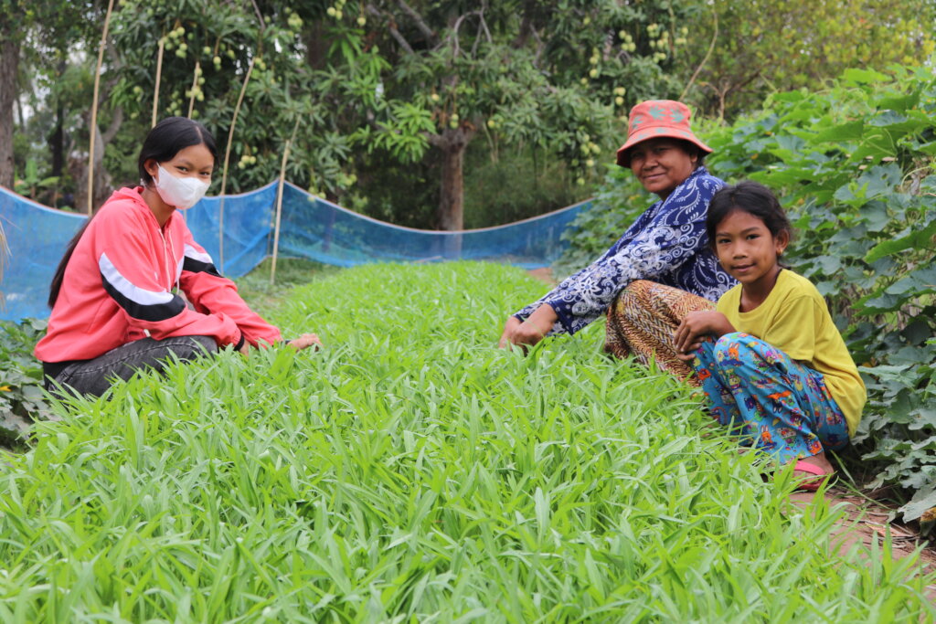 Improve food security for 50 rural families - GlobalGiving