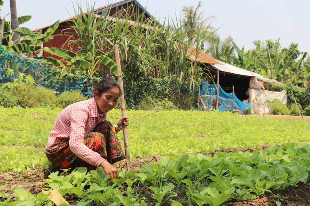 Improve food security for 50 rural families - GlobalGiving