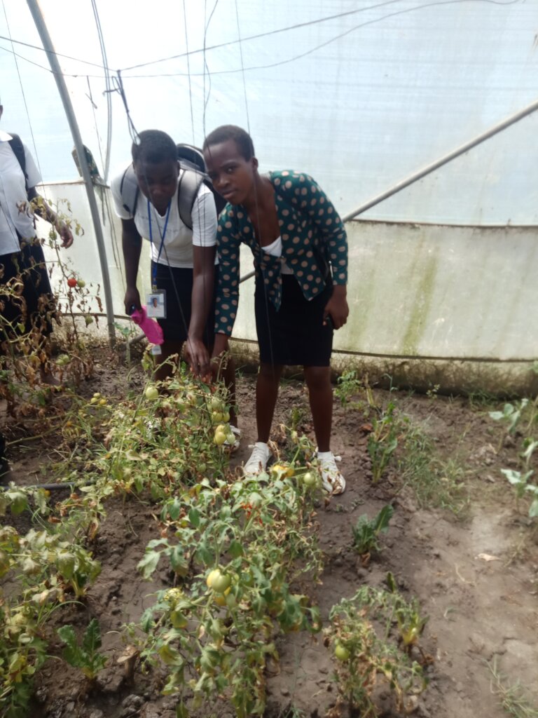 Resilient Agriculture that works for Community - GlobalGiving