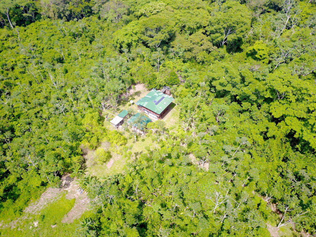 Amazon Rainforest Field Station 4 Women Scientists - GlobalGiving