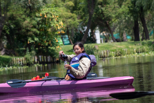 Axolotl conservation in the Xochimilco wetland - GlobalGiving