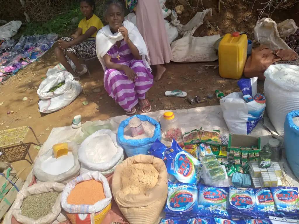 Economic Empowerment of 100 female headed families - GlobalGiving