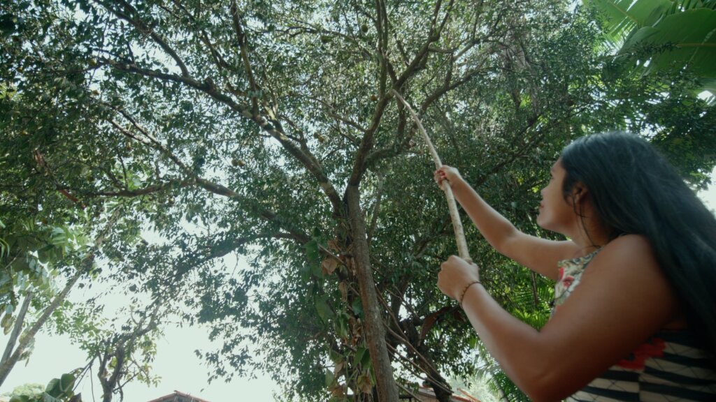 Indigenous Agroforestry to Revive Food Sovereignty - GlobalGiving