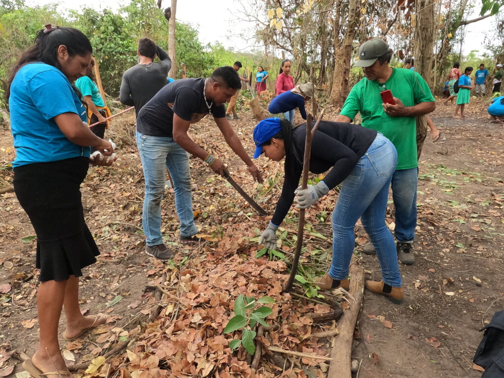 Indigenous Agroforestry to Revive Food Sovereignty - GlobalGiving
