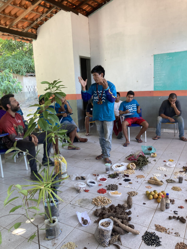 Indigenous Agroforestry to Revive Food Sovereignty - GlobalGiving