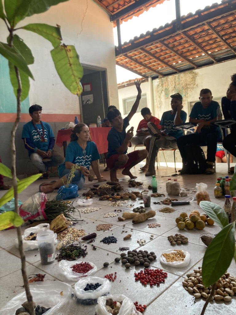 Indigenous Agroforestry to Revive Food Sovereignty - GlobalGiving