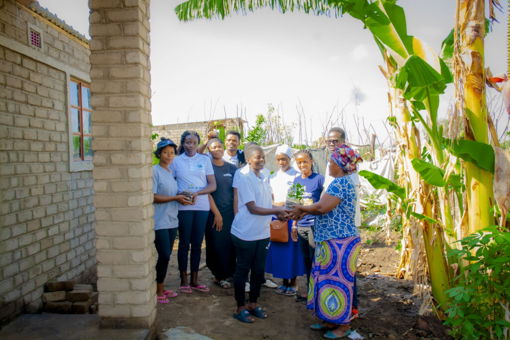 Empower refugees in Zimbabwe to plant 50,000 trees - GlobalGiving