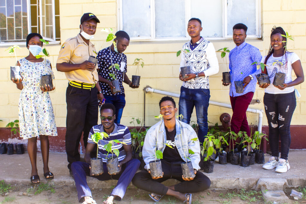 Empower refugees in Zimbabwe to plant 50,000 trees - GlobalGiving