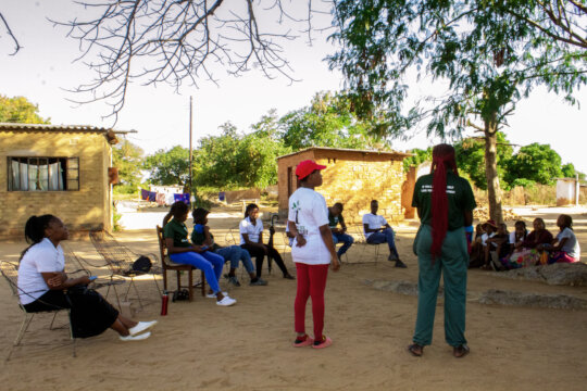 Empower refugees in Zimbabwe to plant 50,000 trees - GlobalGiving