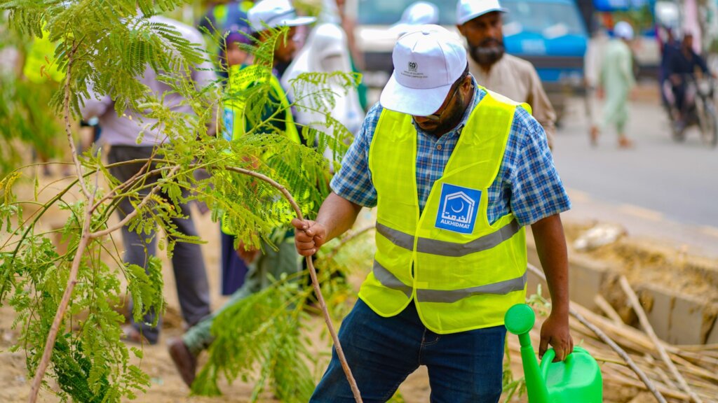 Plant 1 million trees in Pakistan - GlobalGiving