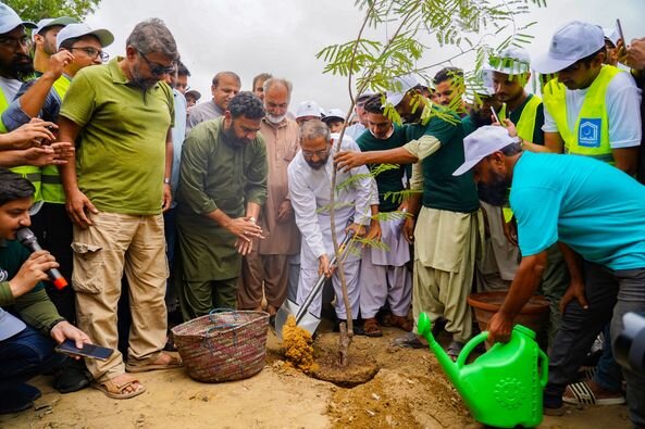 Plant 1 million trees in Pakistan - GlobalGiving