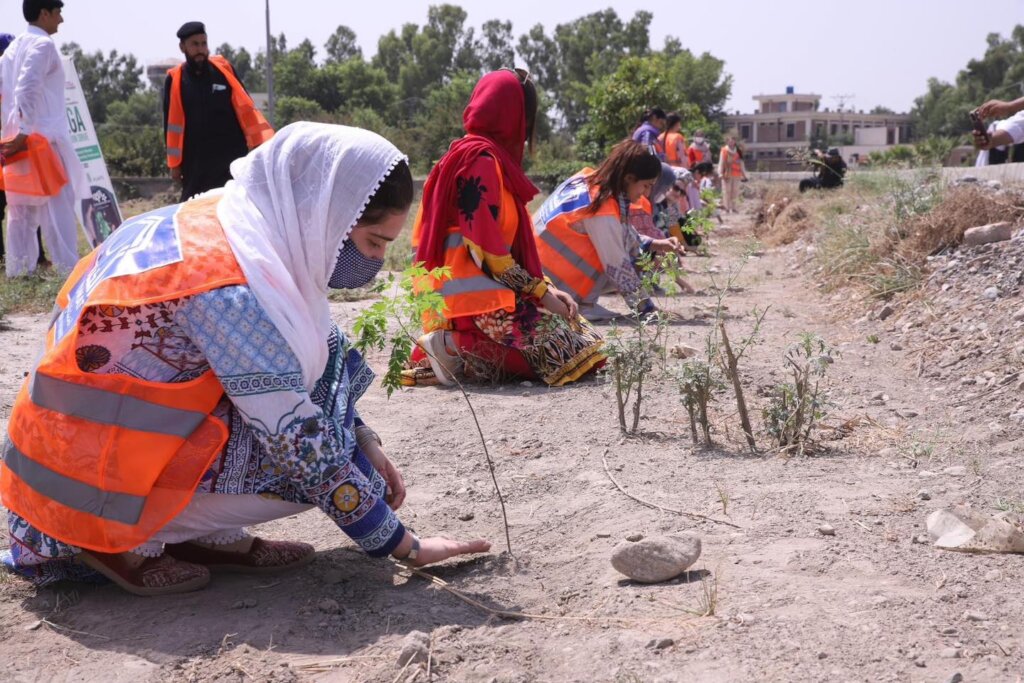 Plant 1 million trees in Pakistan - GlobalGiving