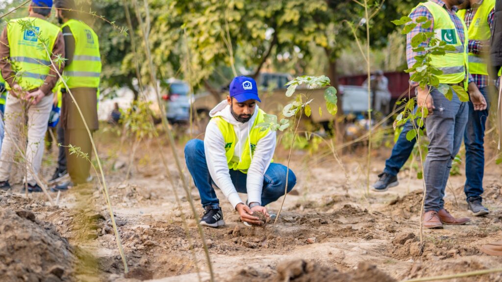 Plant 1 million trees in Pakistan - GlobalGiving