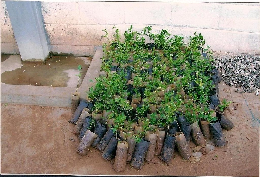 Computer skill training for 100 youths in India - GlobalGiving