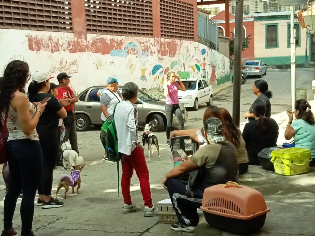 You are the hope of Venezuelan dogs in 2024! - GlobalGiving