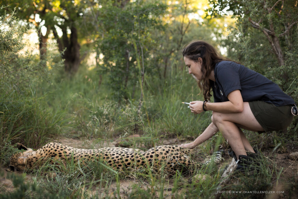 Join Wildlife ACTive, Prevent Animal Poaching - GlobalGiving