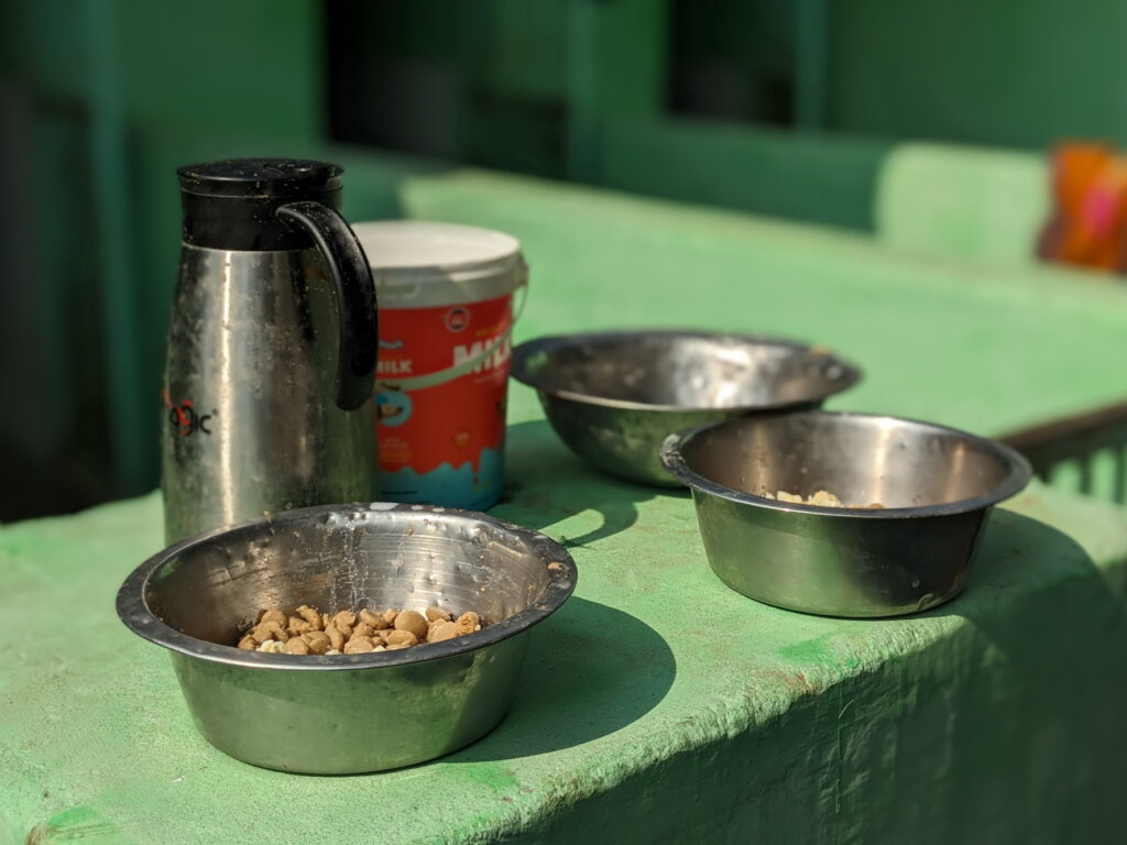 High Dependency Unit For Vulnerable Sick Animals - GlobalGiving