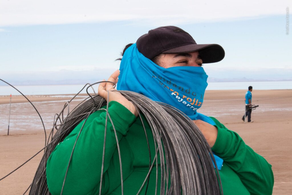 Empower Women to Save the Red Knot in Mexico - GlobalGiving